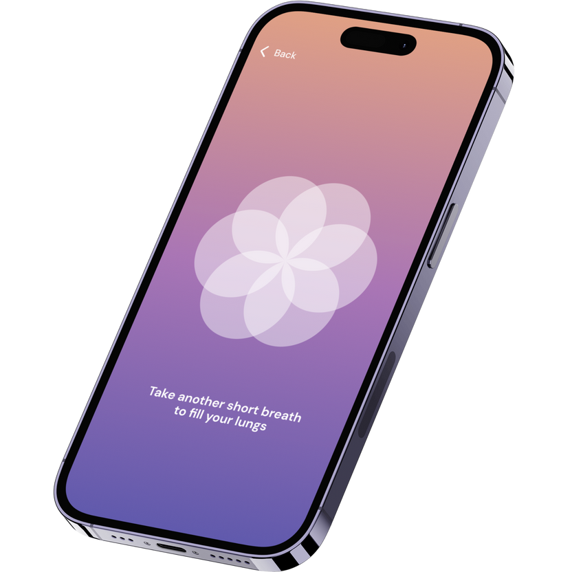 Shop Mendi – Mendi.io